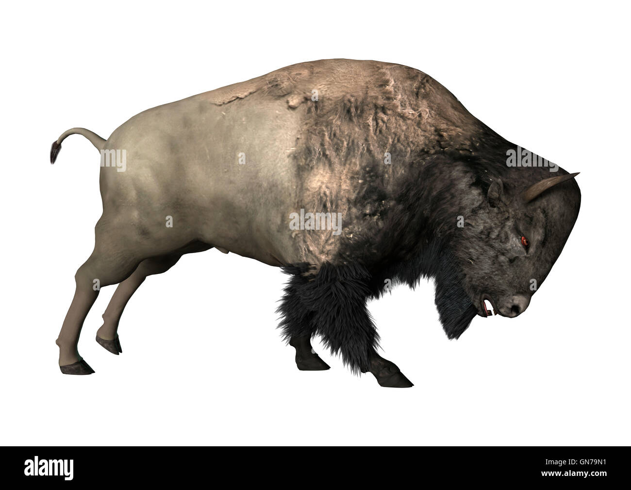 3D rendering of a bison isolated on white background Stock Photo - Alamy