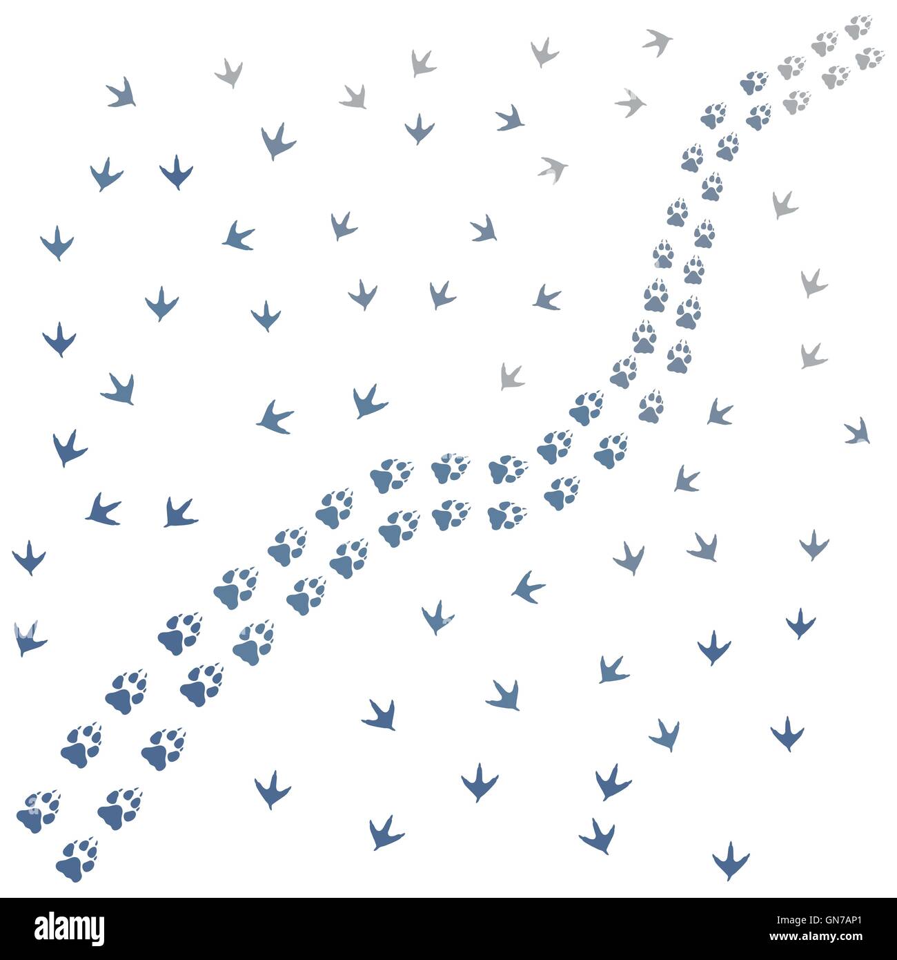 Nice picture of traces of birds and animals on a white background Stock ...