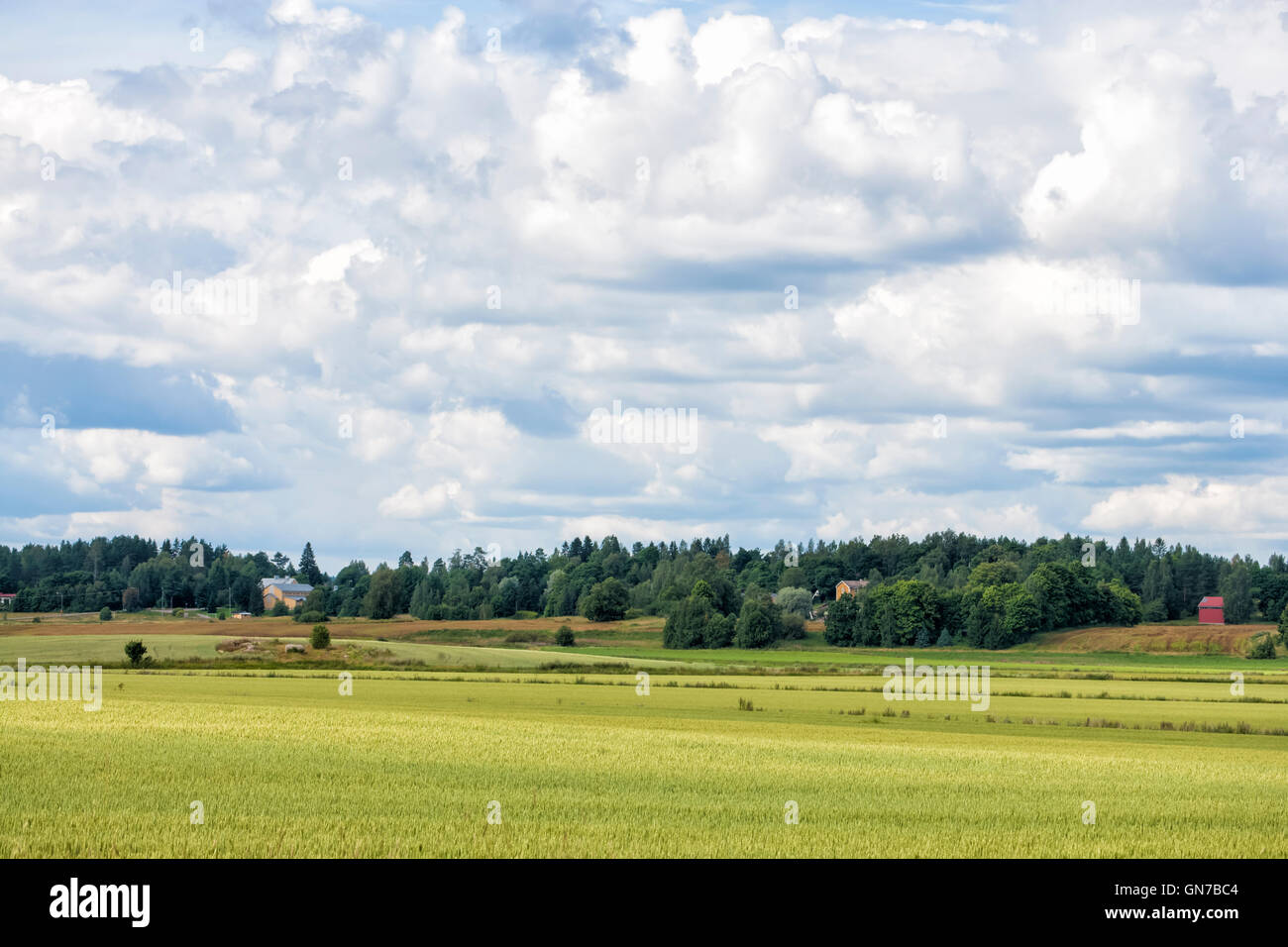 Summery finland hi-res stock photography and images - Alamy