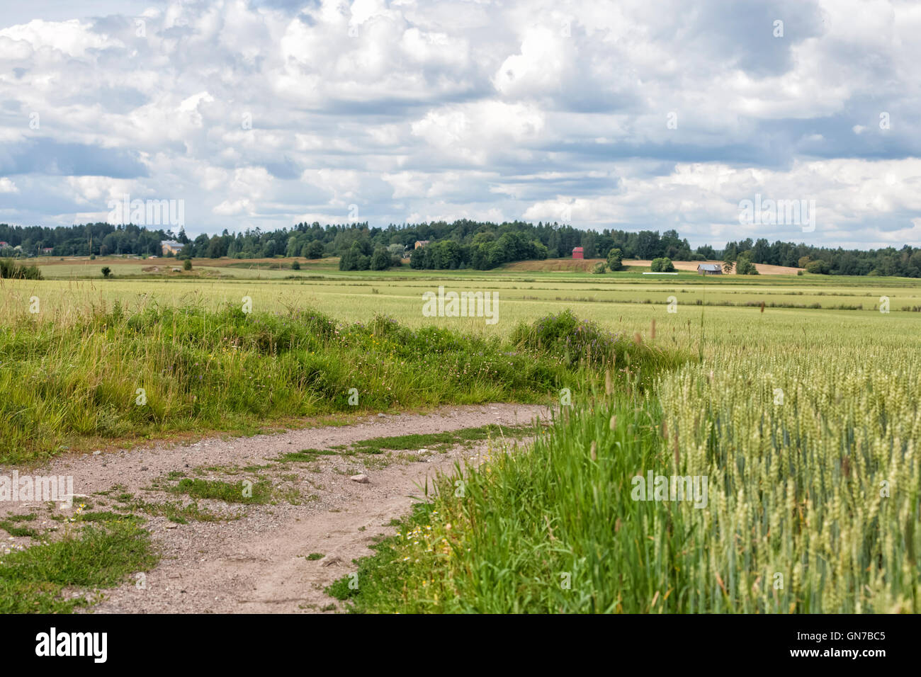 Dirt Road on a Farm Stock Photo - Alamy