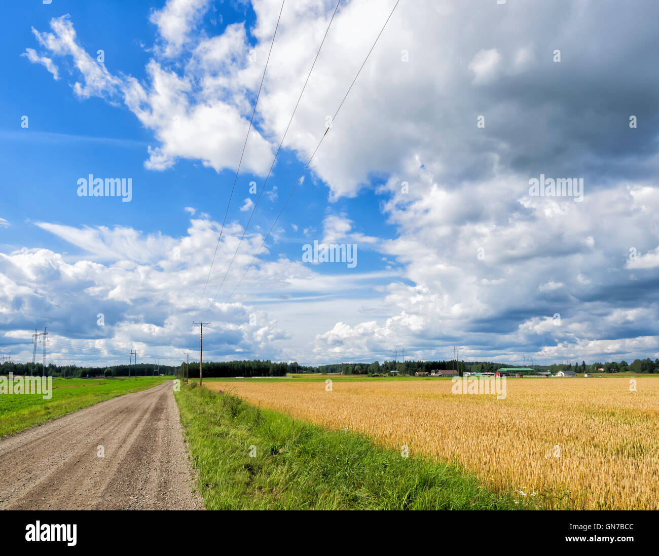 Finnish countryside hi-res stock photography and images - Alamy
