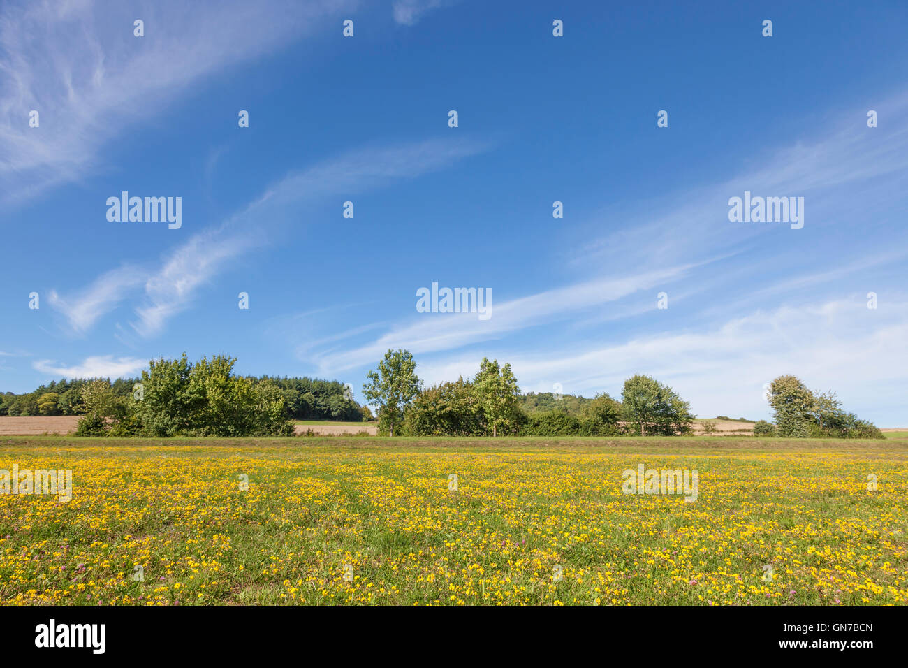 Beautiful rural landscape Stock Photo - Alamy