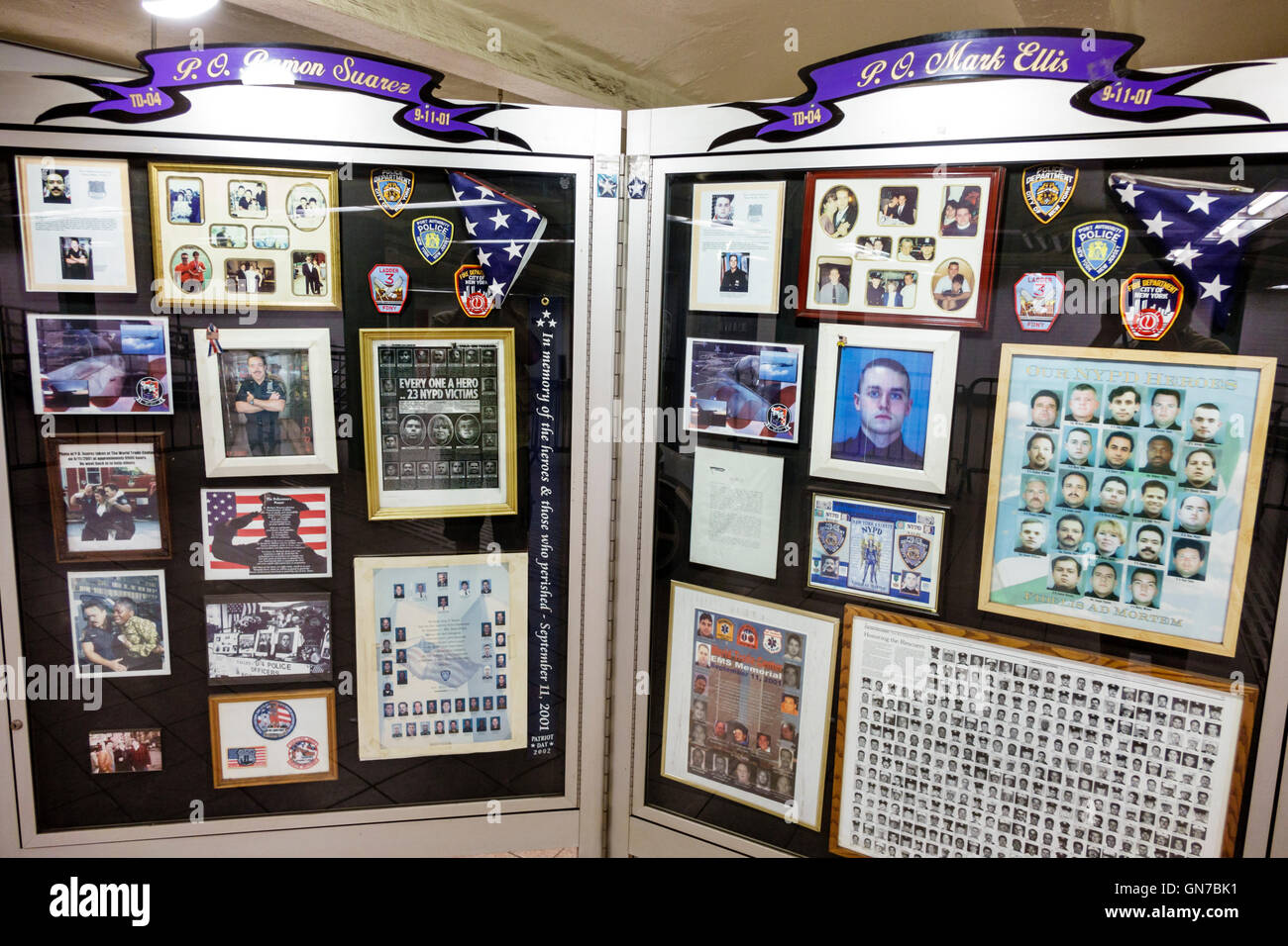 Professional Tri Fold Poster Ideas