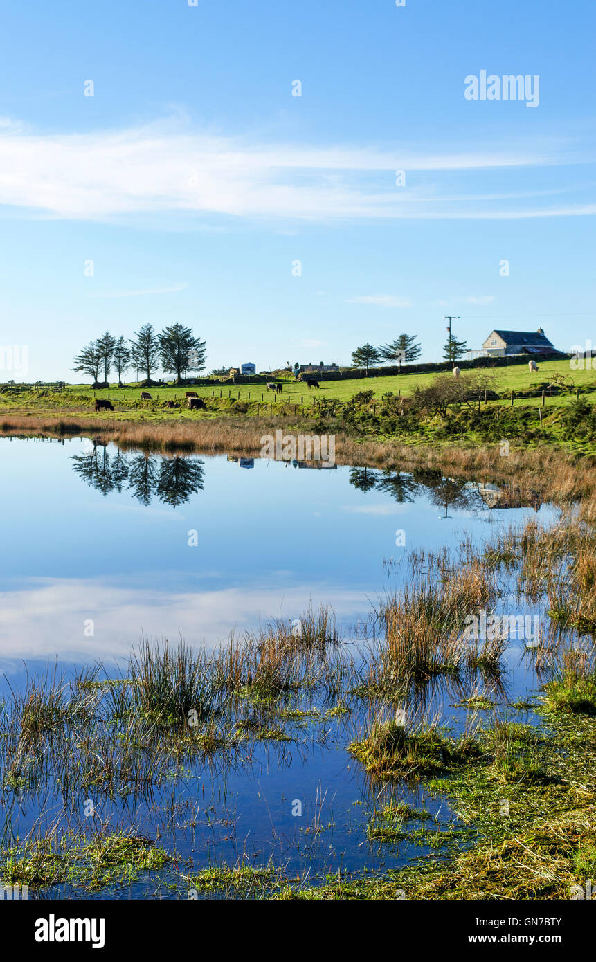 Dozmary pool on Bodmin Moor in Cornwall, UK Stock Photo - Alamy