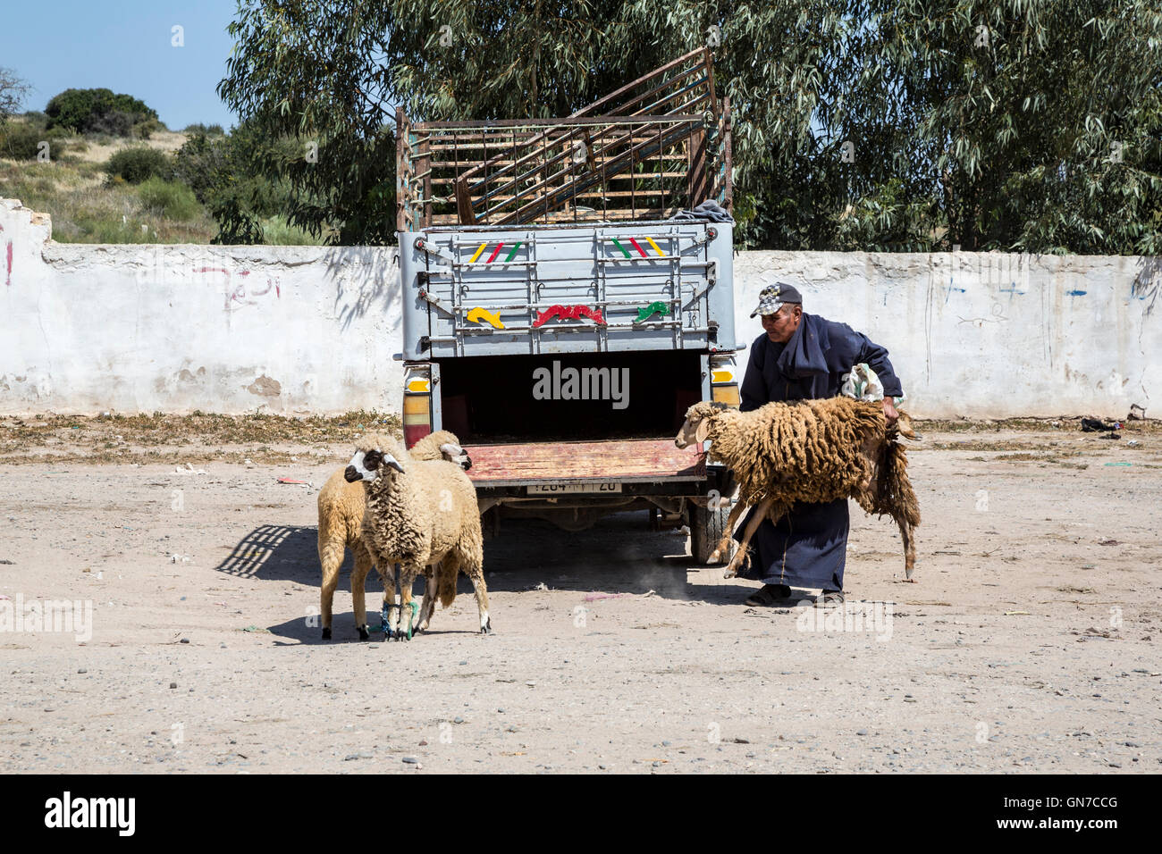 Camera loading hi-res stock photography and images - Alamy