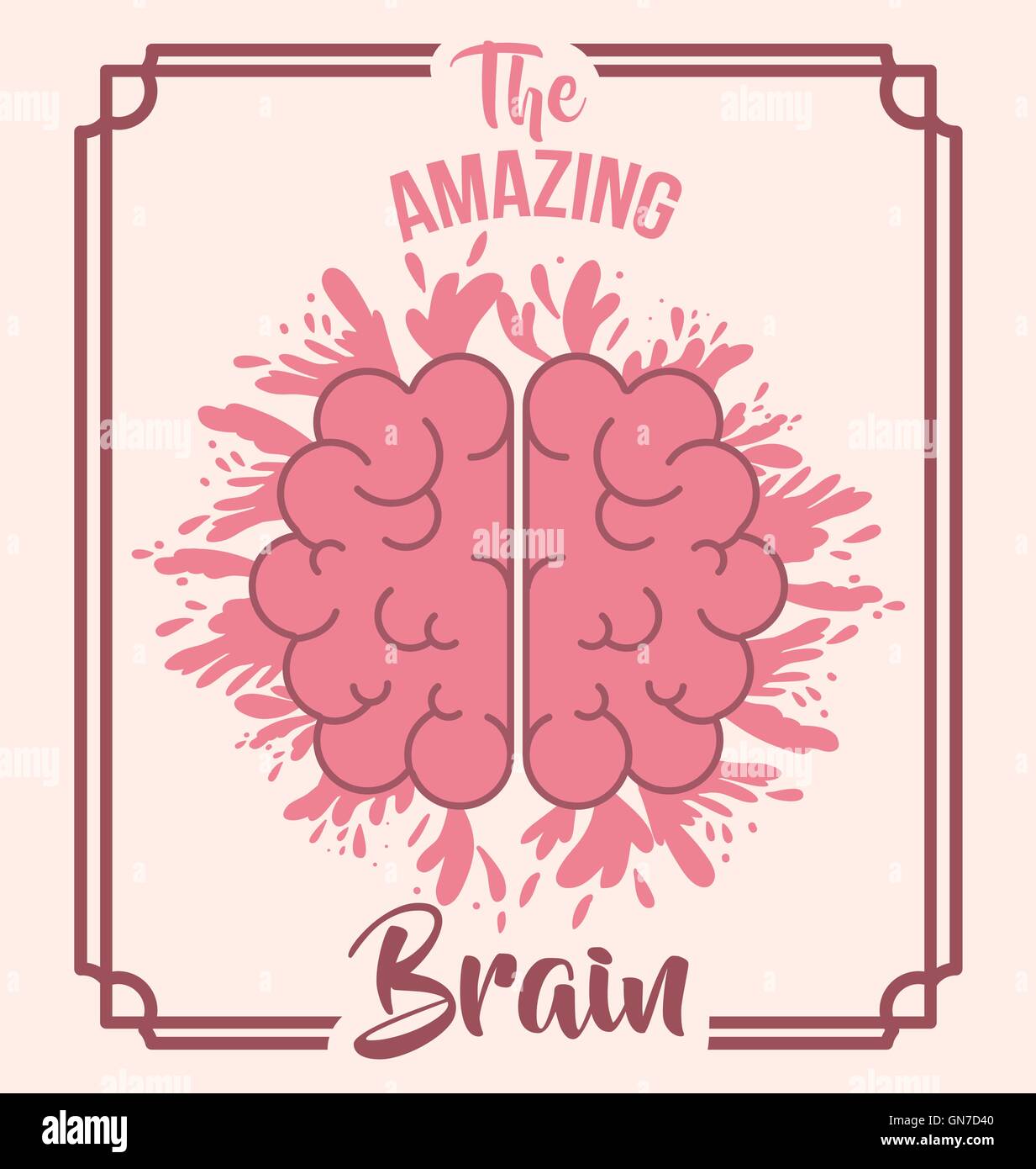 the amazing brain isolated Stock Vector Image & Art - Alamy