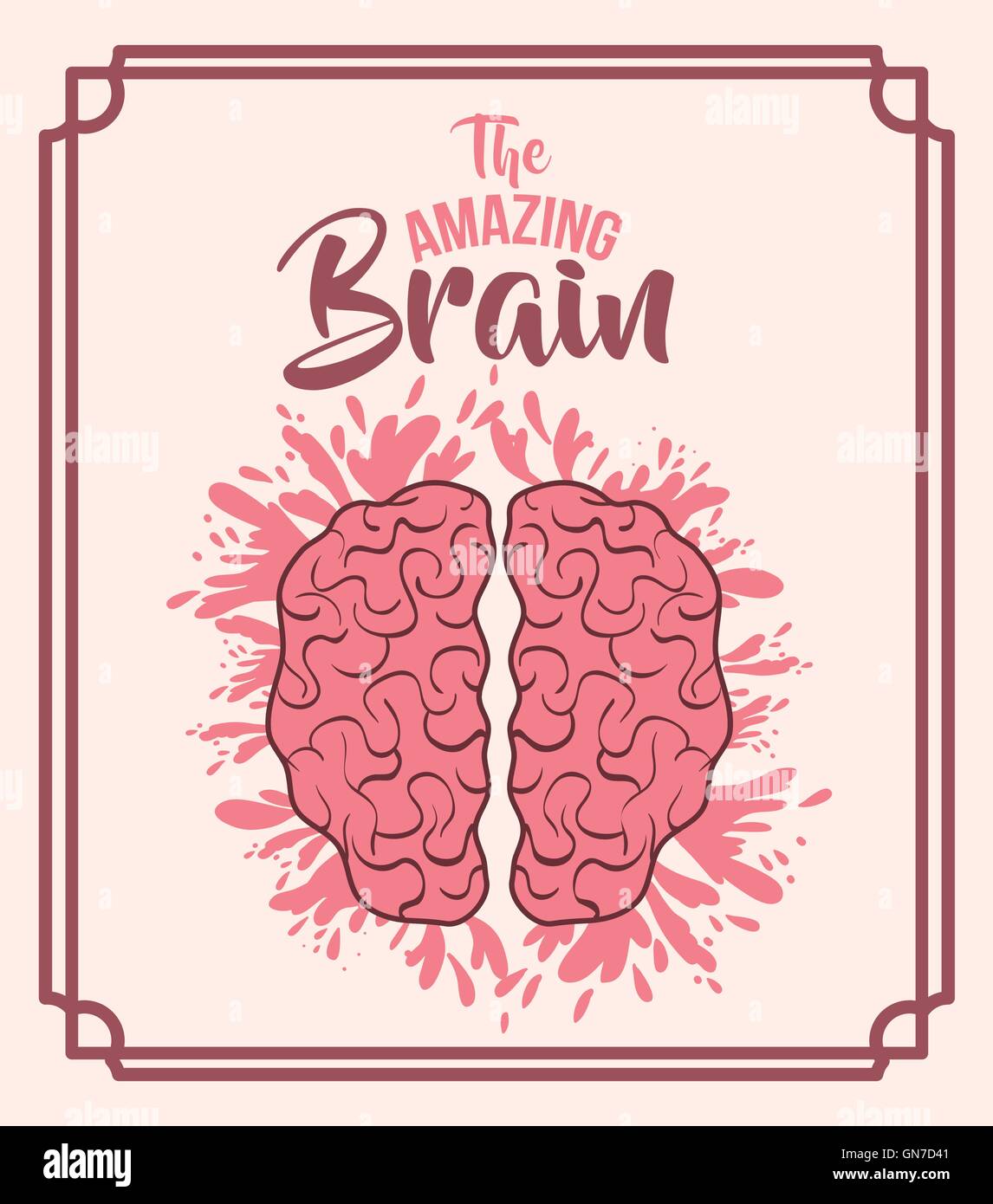 the amazing brain isolated Stock Vector Image & Art - Alamy