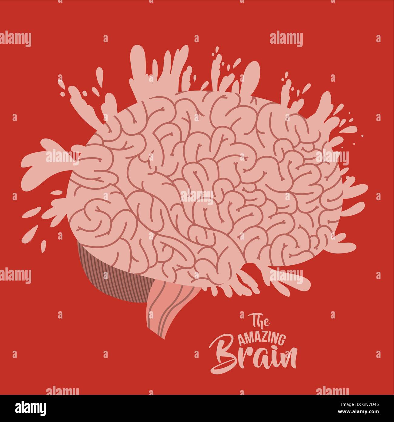 the amazing brain isolated Stock Vector Image & Art - Alamy