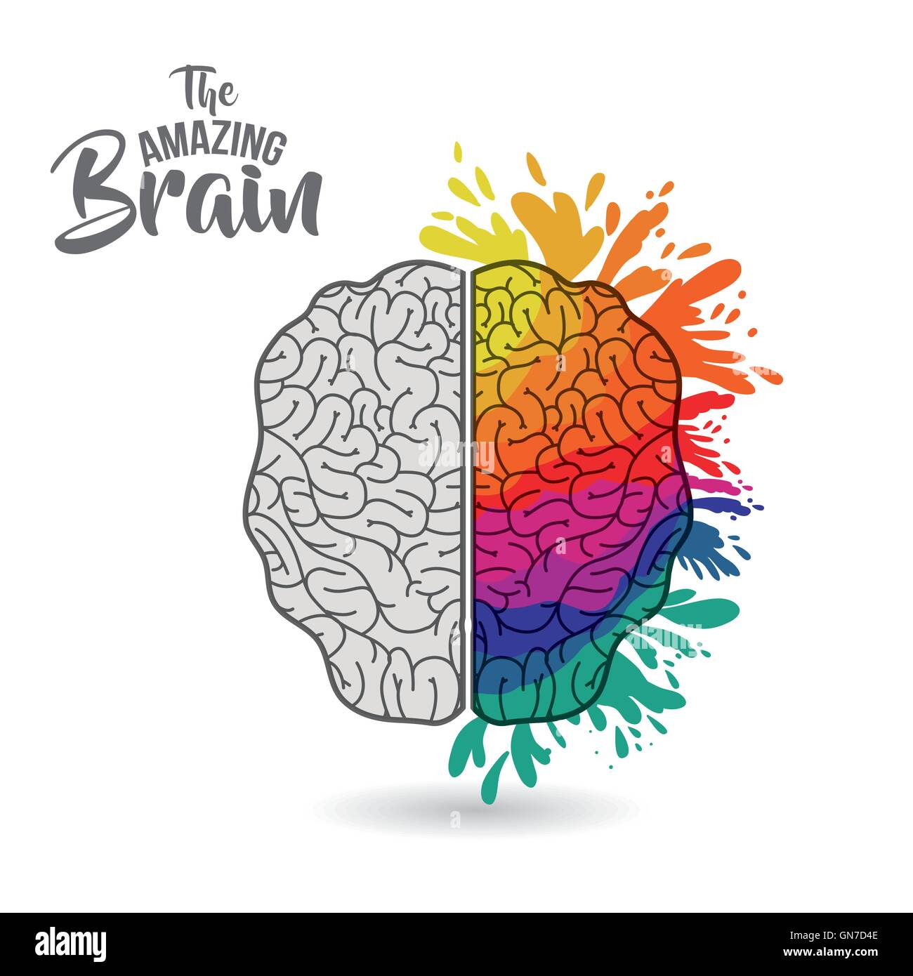 the amazing brain isolated Stock Vector Image & Art - Alamy