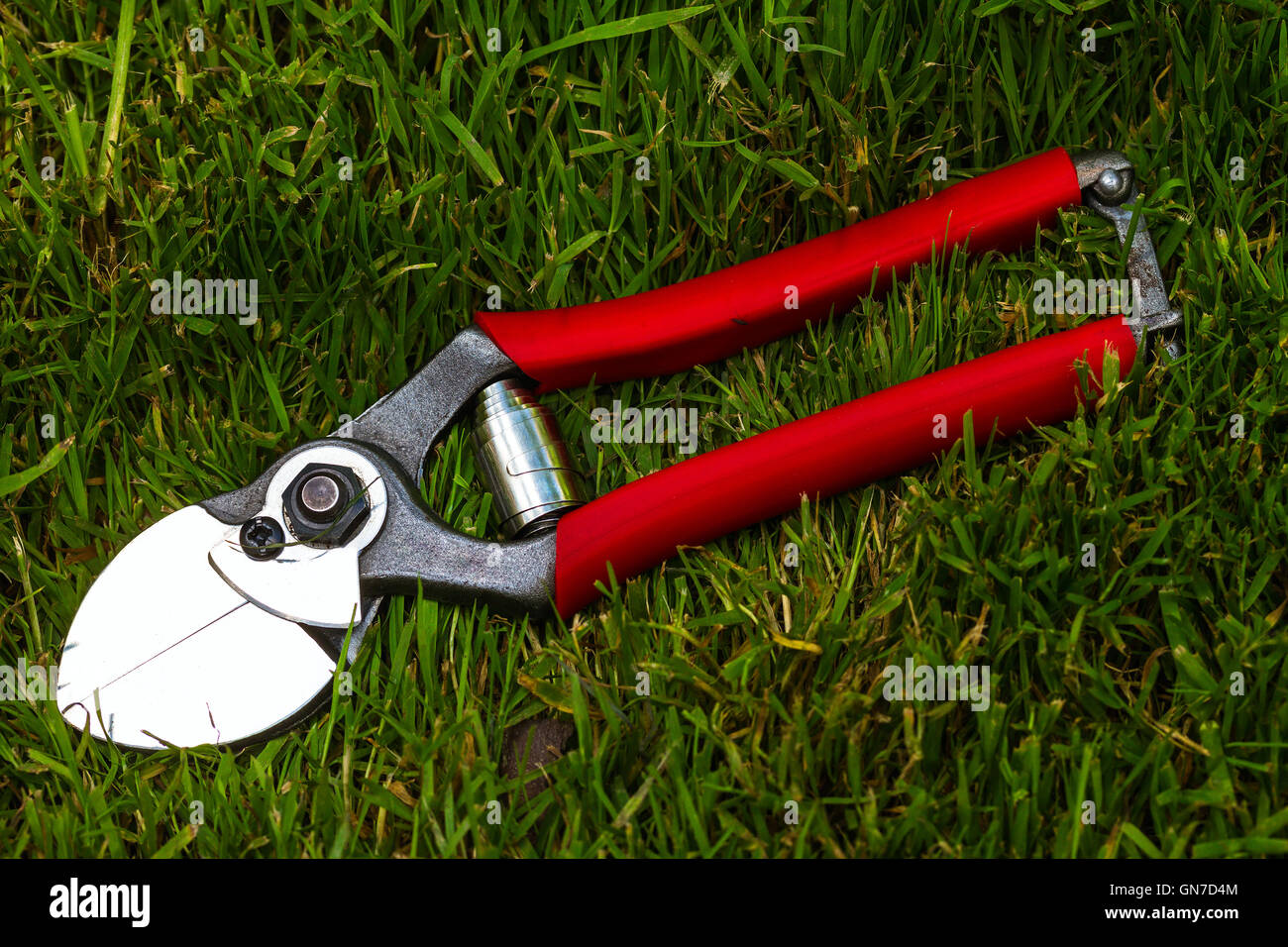 professional garden secateurs on a grass background Stock Photo - Alamy