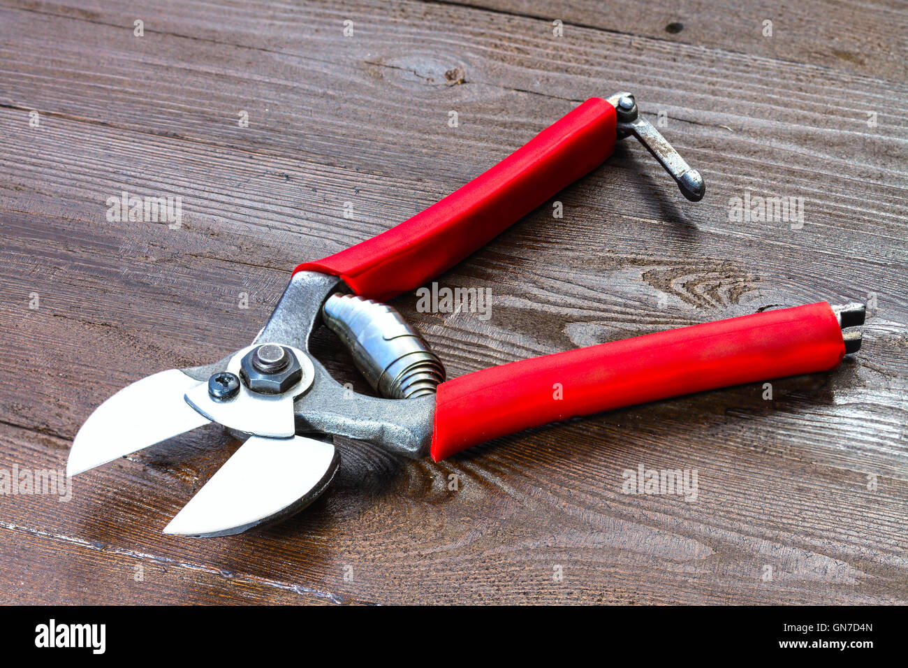 professional garden secateurs on a wooden background Stock Photo - Alamy
