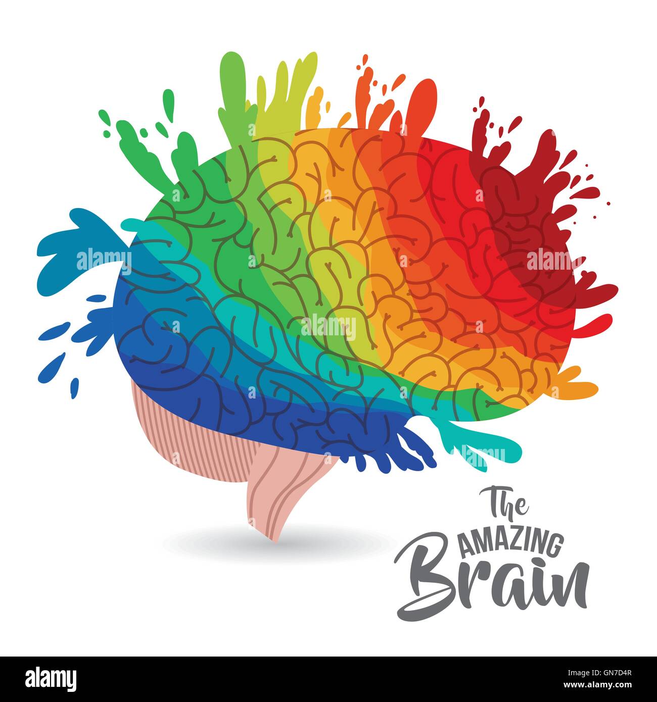 the amazing brain isolated Stock Vector Image & Art - Alamy