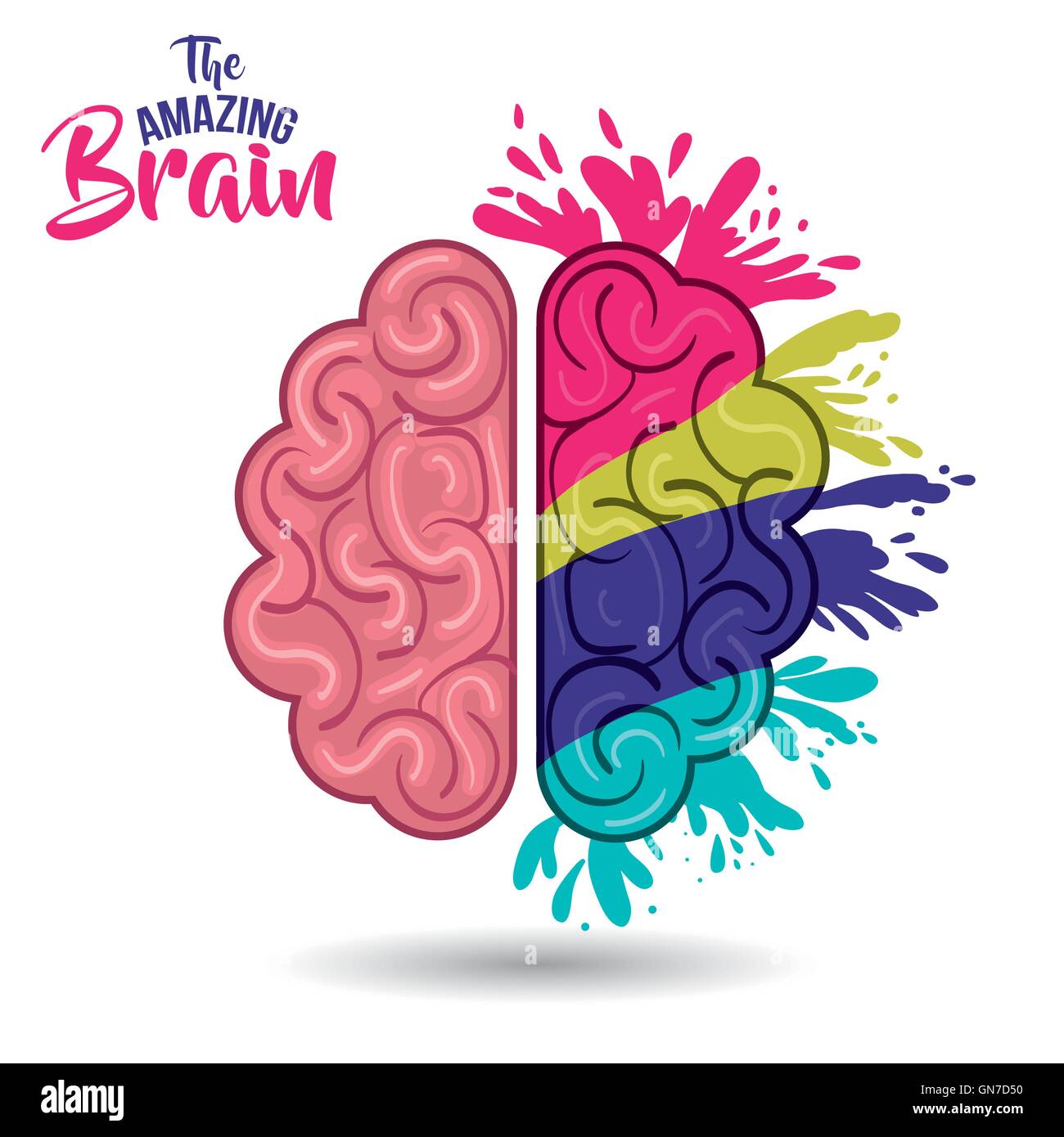 the amazing brain isolated Stock Vector Image & Art - Alamy