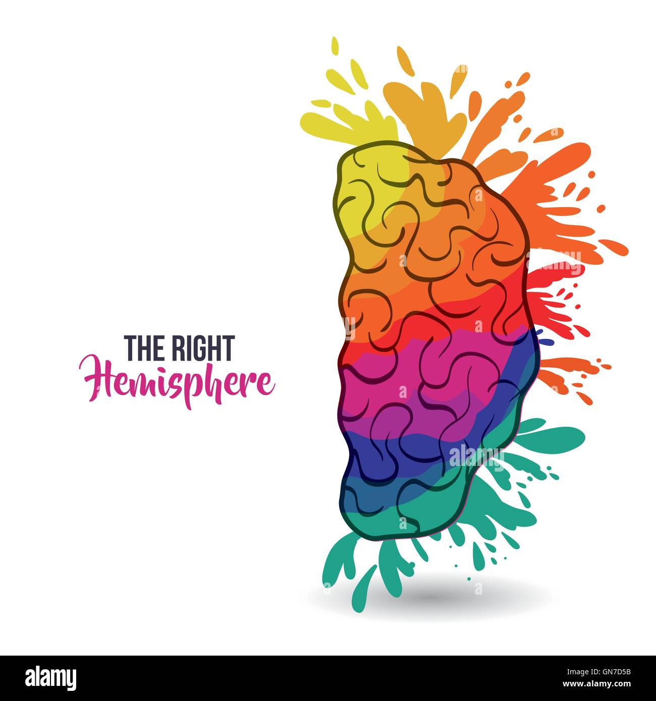 the amazing brain isolated Stock Vector Image & Art - Alamy
