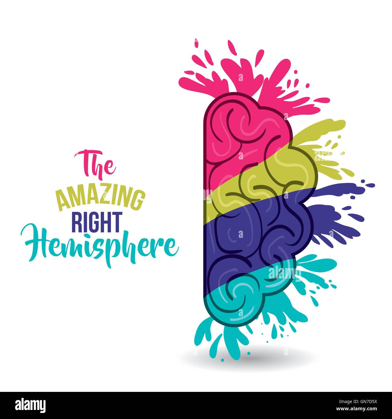 the amazing brain isolated Stock Vector Image & Art - Alamy