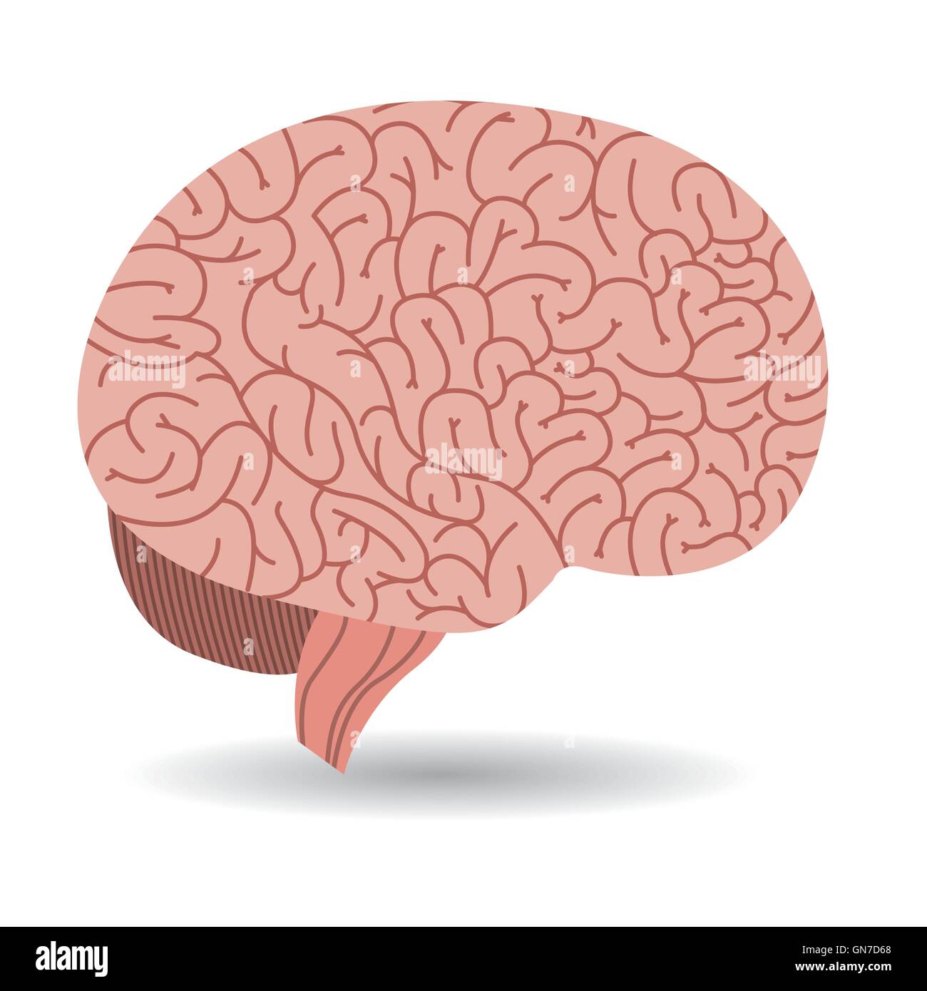 brain human organ isolated icon Stock Vector Image & Art - Alamy