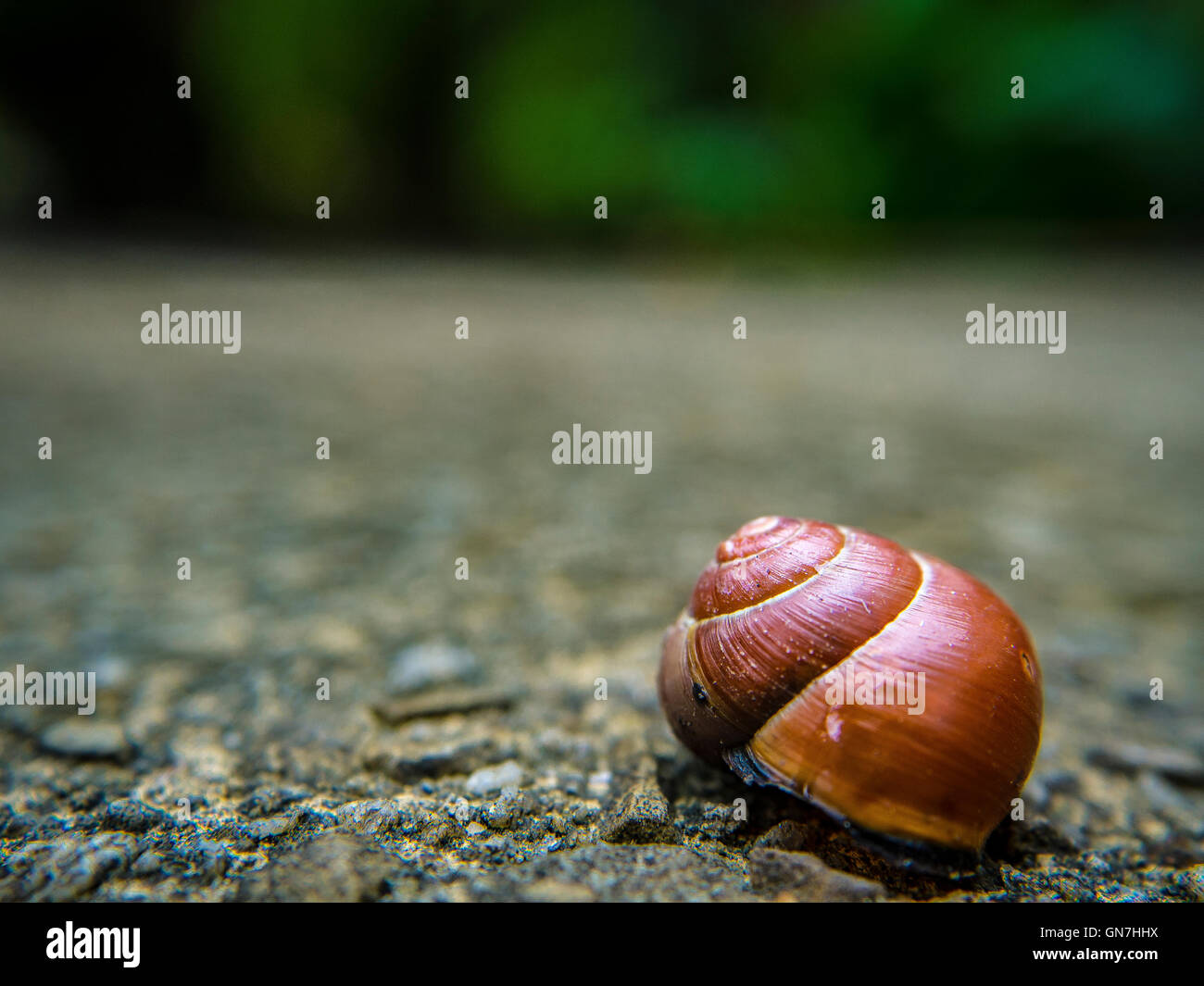 Shell depth hi-res stock photography and images - Alamy