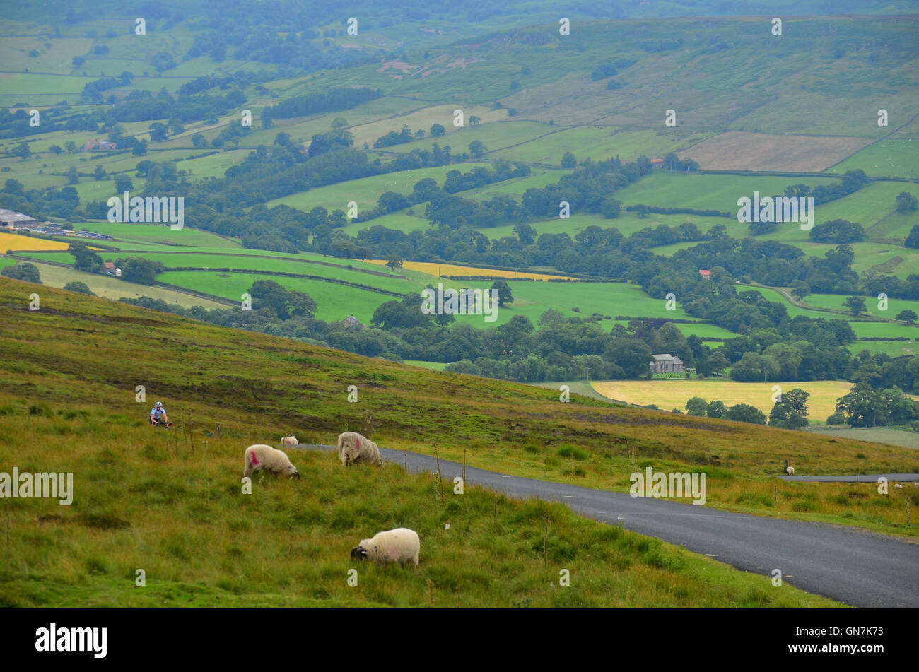 Blakey Road and Blakey Bank junction North Yorkshire Moors England UK ...