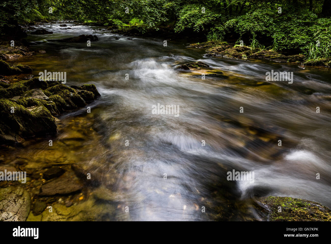 River Barle, near Marsh Bridge, Dulverton, Exmoor, UK Stock Photo - Alamy
