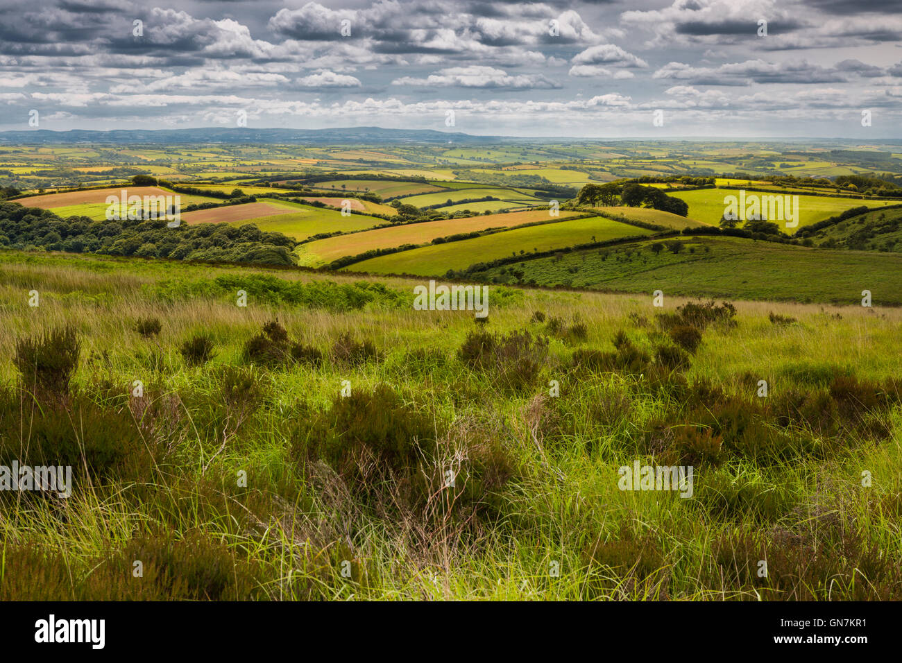 Molland devon hi-res stock photography and images - Alamy