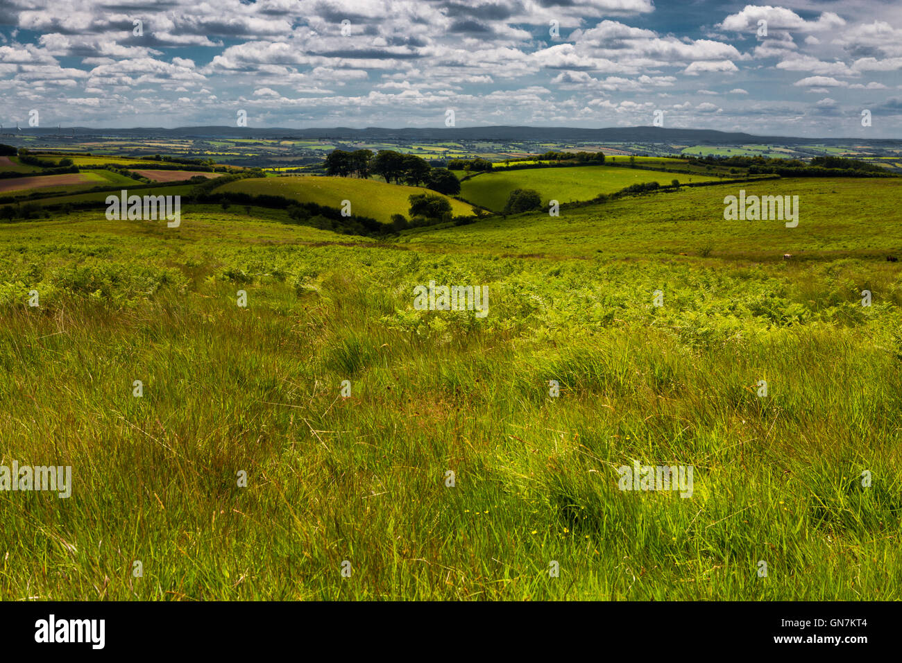 Exmoor, above Molland, Devon, UK Stock Photo - Alamy