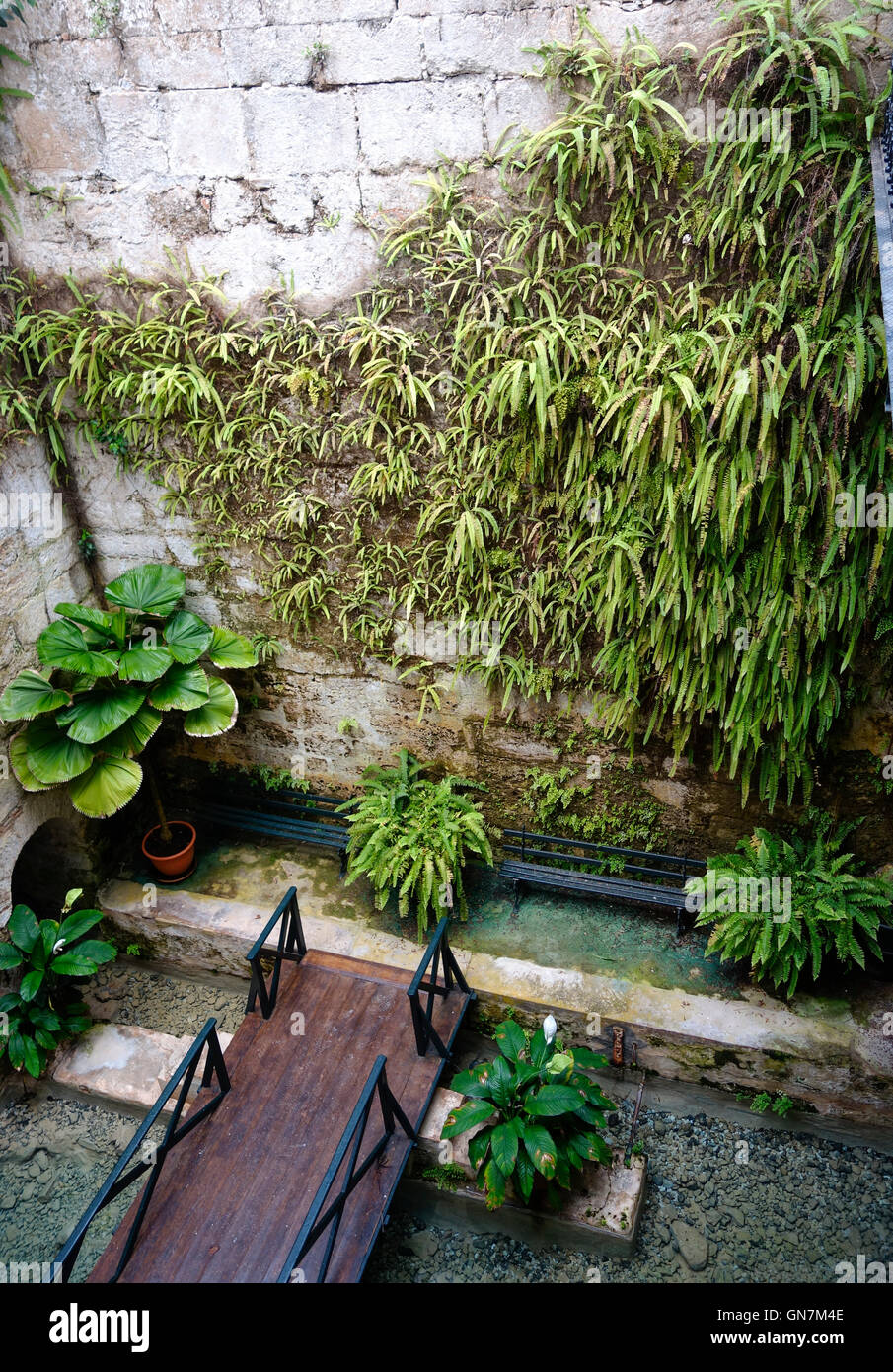 The inside of the renovated flower mill at Botanical garden, Molino de ...
