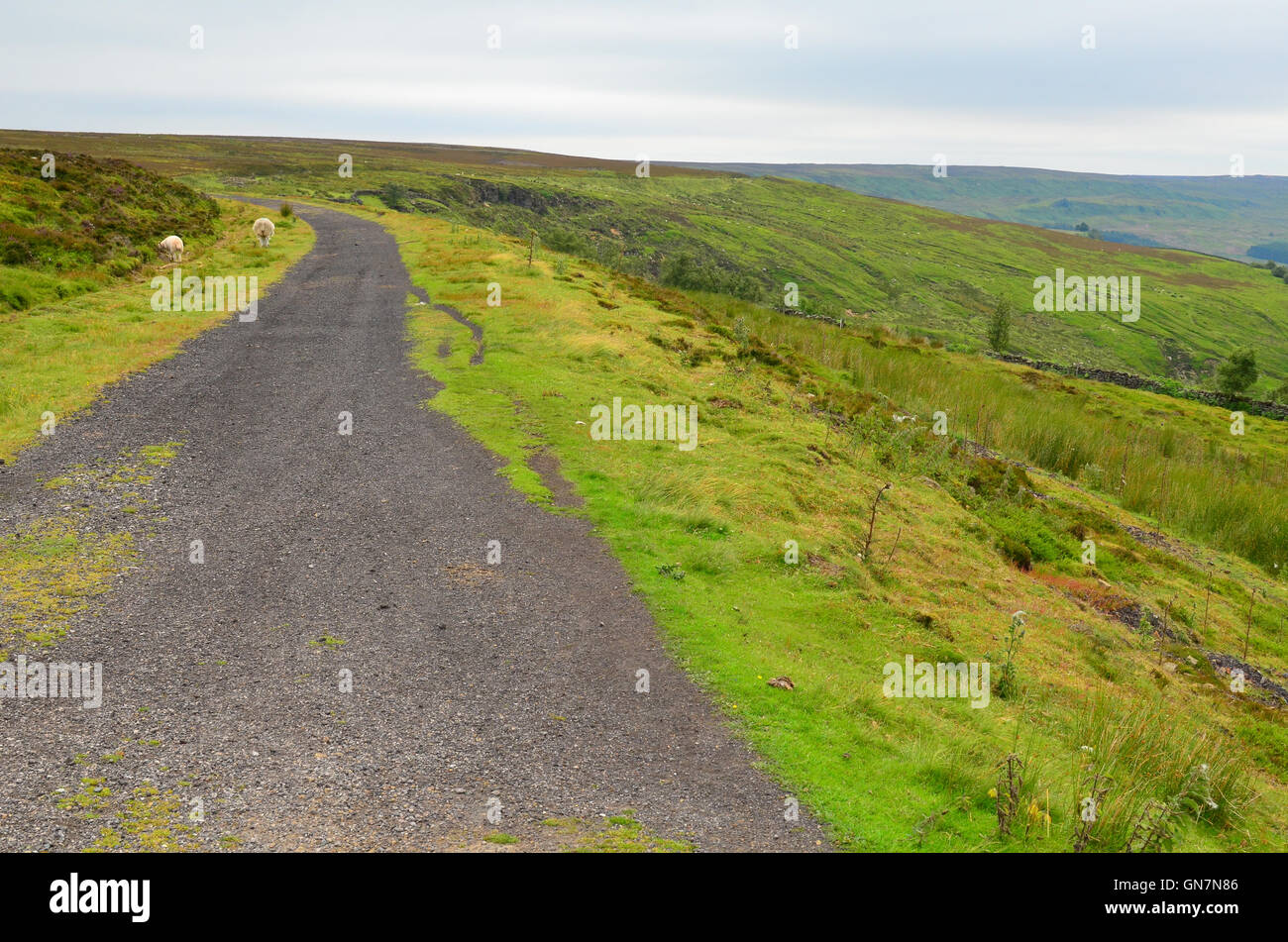 Rosedale Chimney Bank North Yorkshire Moors England UK Stock Photo - Alamy