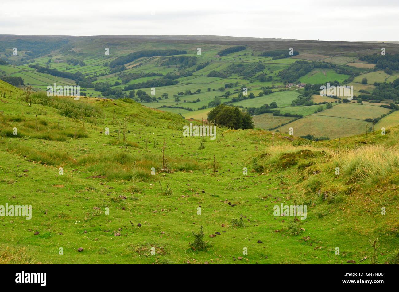 Rosedale Chimney Bank North Yorkshire Moors England UK Stock Photo - Alamy