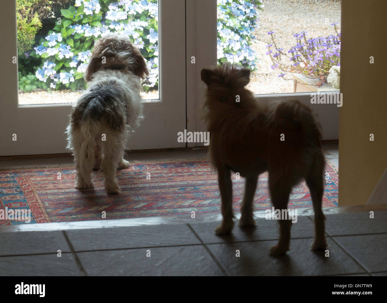 Stand glass hi-res stock photography and images - Alamy