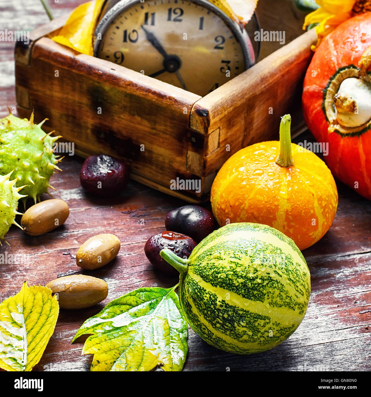 Autumn decorative pumpkin,chestnuts and retro clock Stock Photo - Alamy