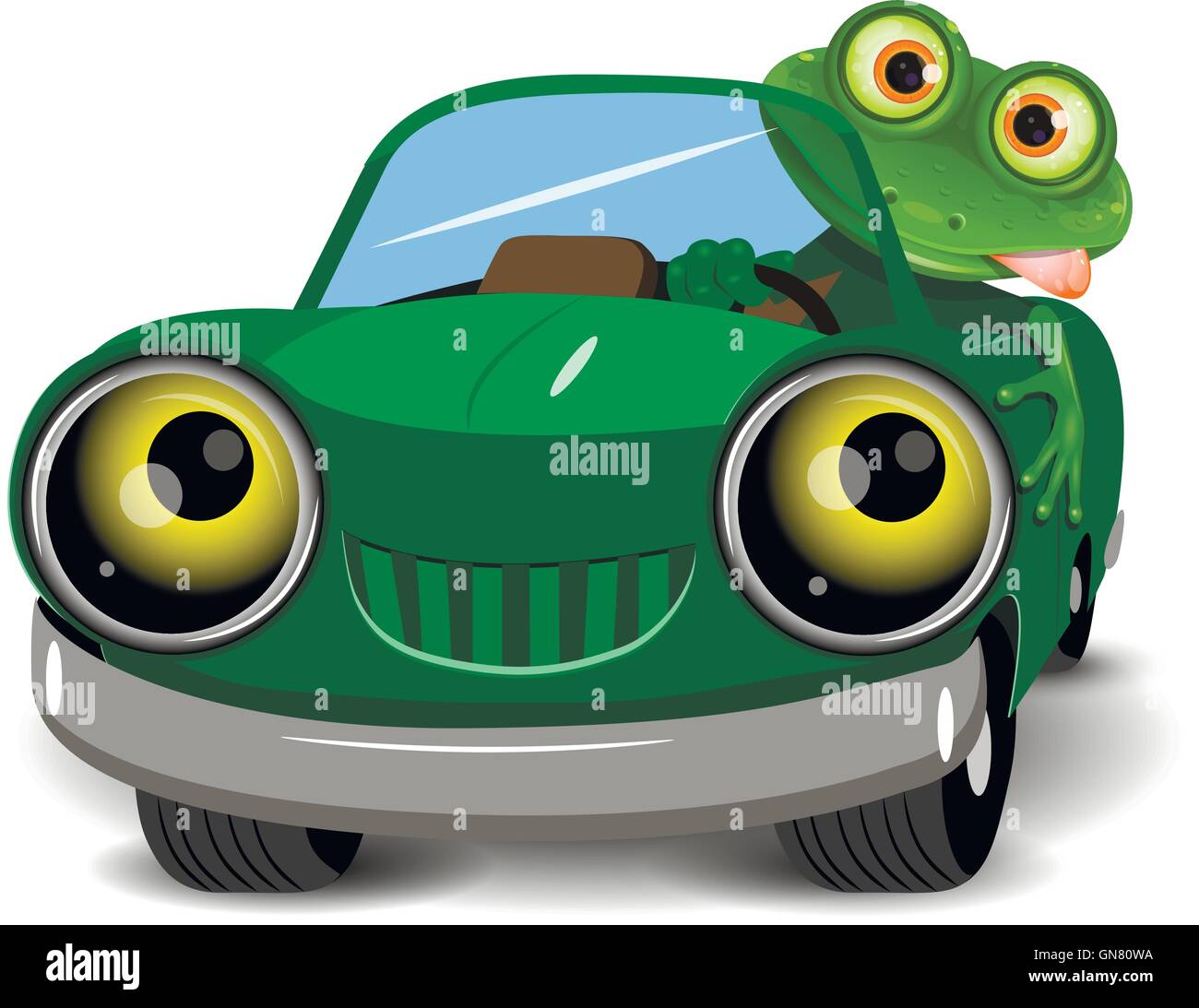 Frog in the car Stock Vector Image & Art - Alamy