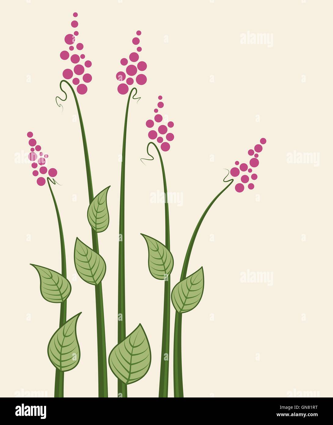 Organic wild field meadow Stock Vector Images - Alamy