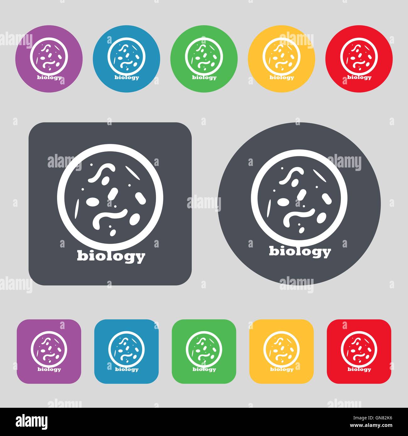 bacteria and virus disease, biology cell under microscope icon sign. A ...
