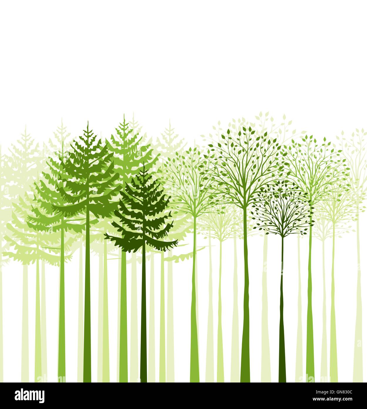 Vector mixed forest Stock Vector Image & Art - Alamy