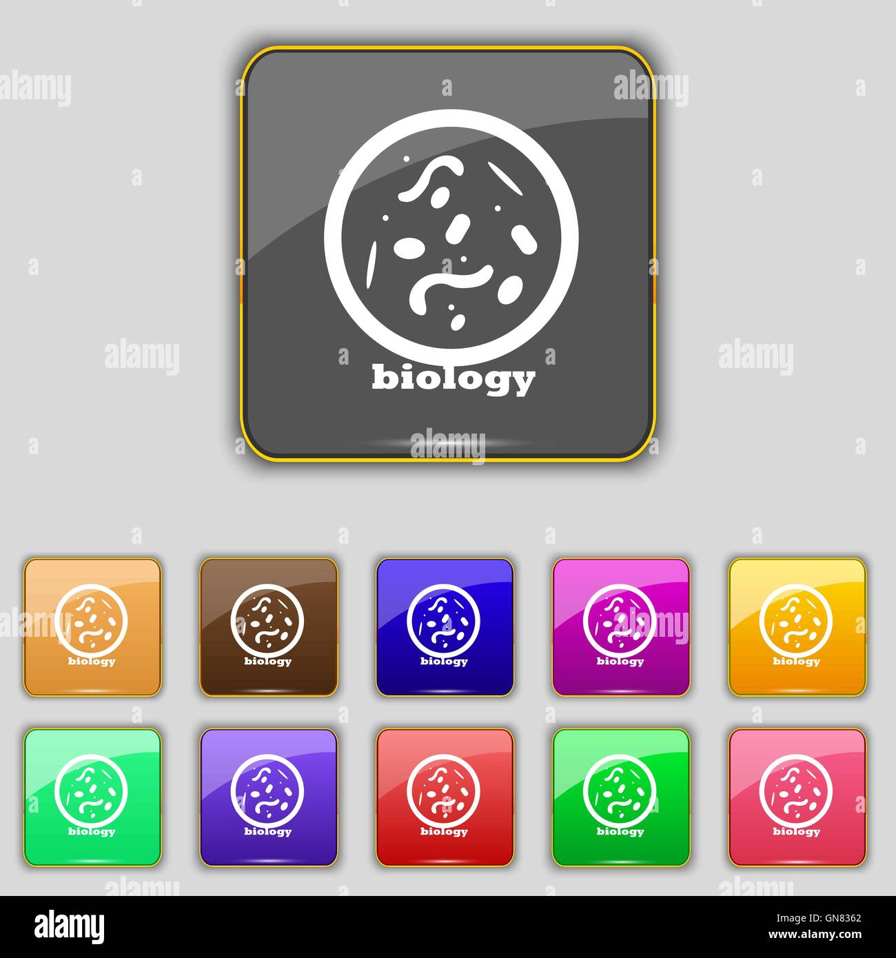 bacteria and virus disease, biology cell under microscope icon sign ...