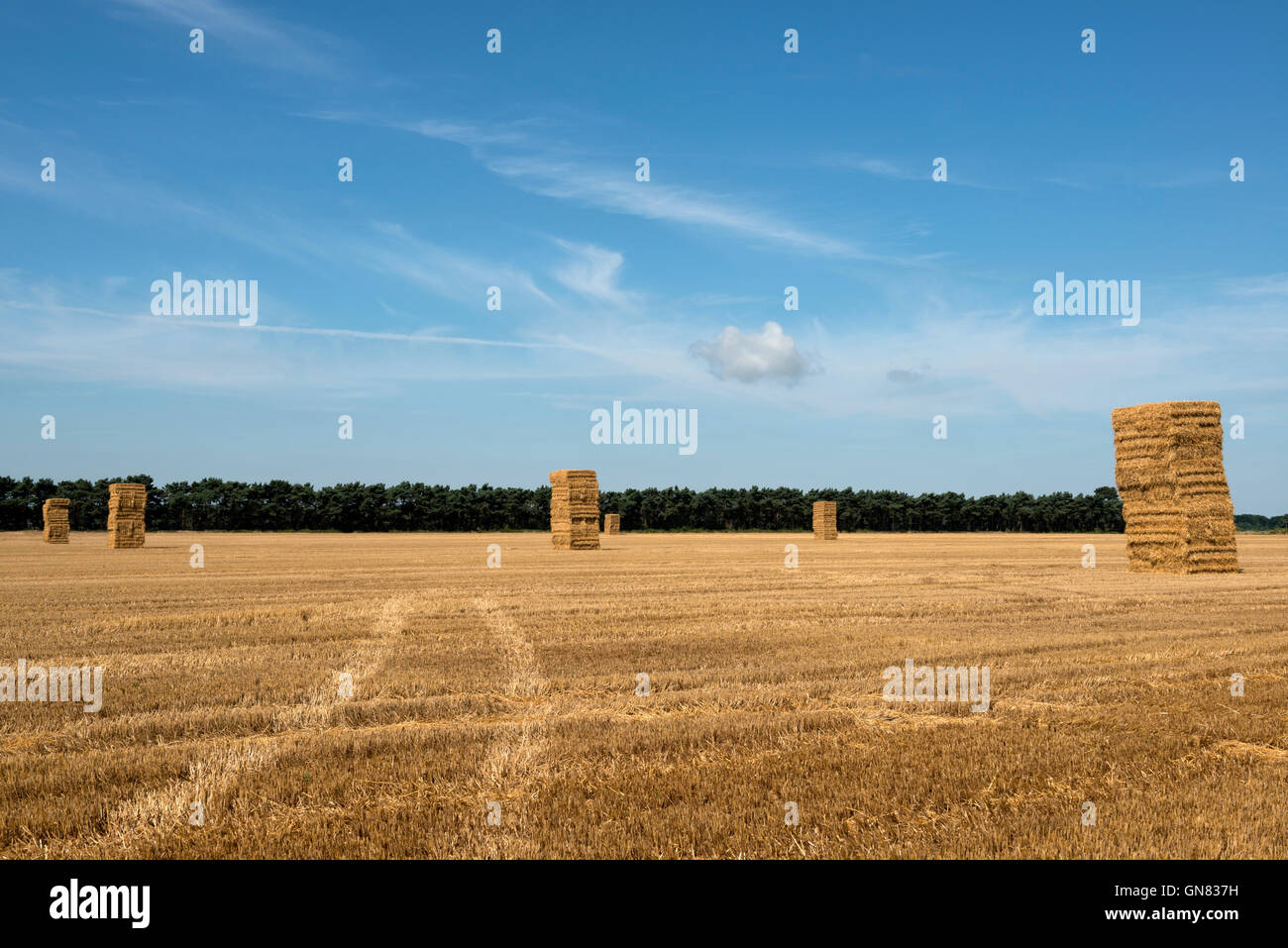 Large straw bales stacks Stock Photo - Alamy