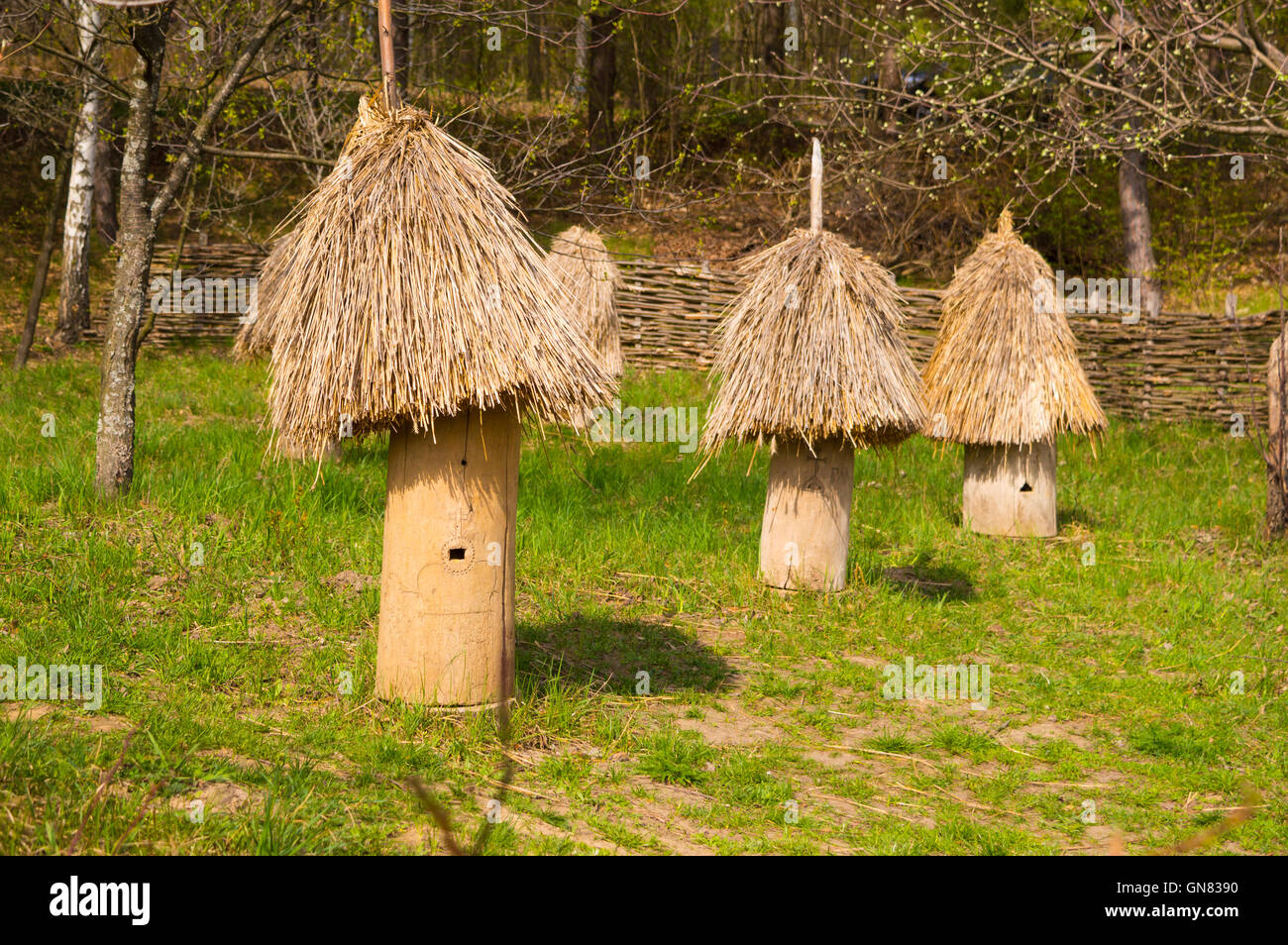 Ancient Beehives of Tree Trunk and Straw Stock Photo - Alamy
