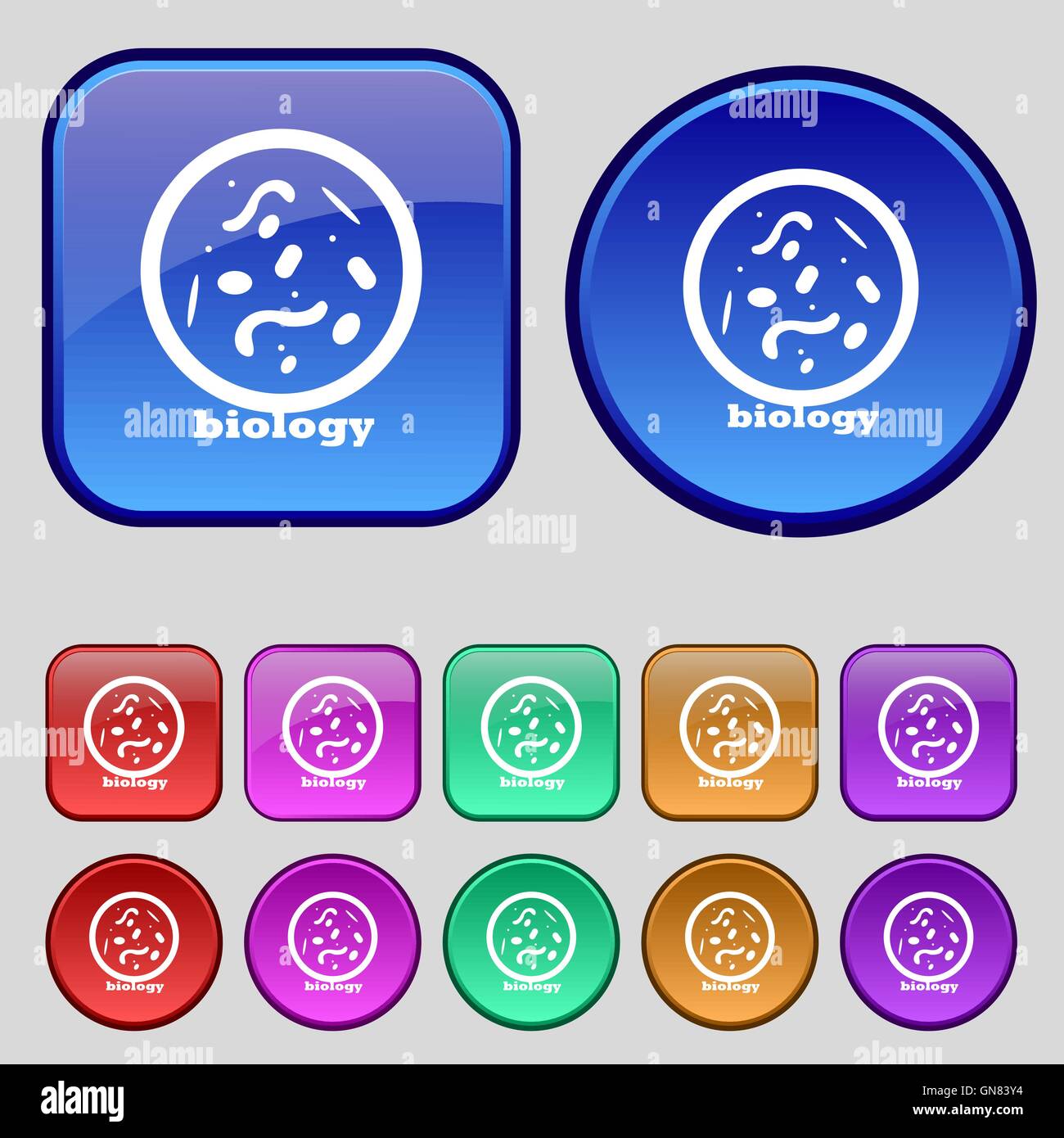 bacteria and virus disease, biology cell under microscope icon sign. A ...