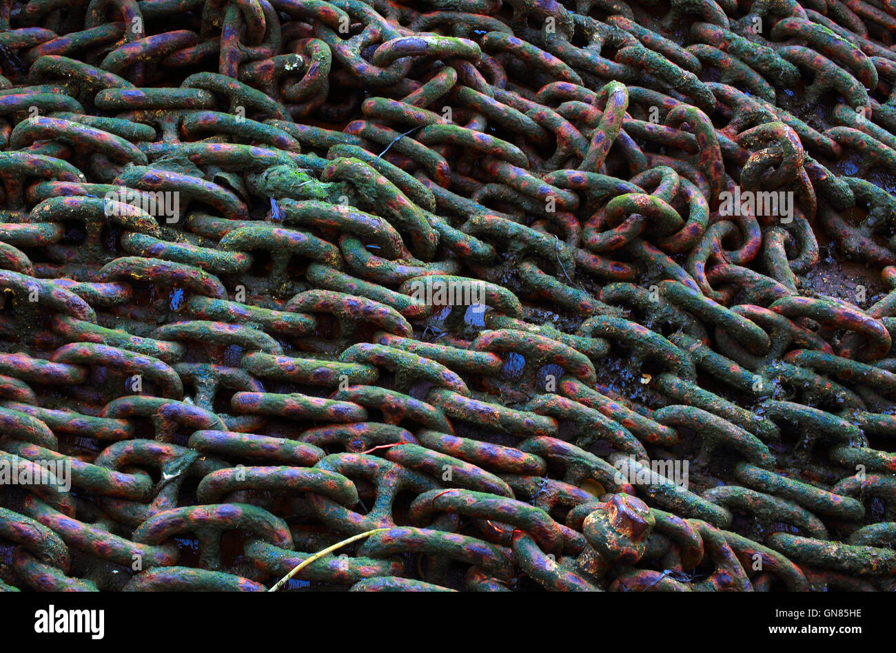 Seaweed covered anchor chains on the quay, Falmouth, Cornwall, England ...