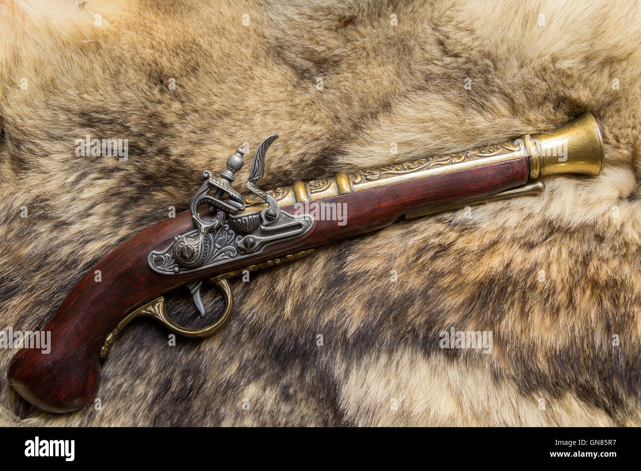 Wolf skin hi-res stock photography and images - Alamy