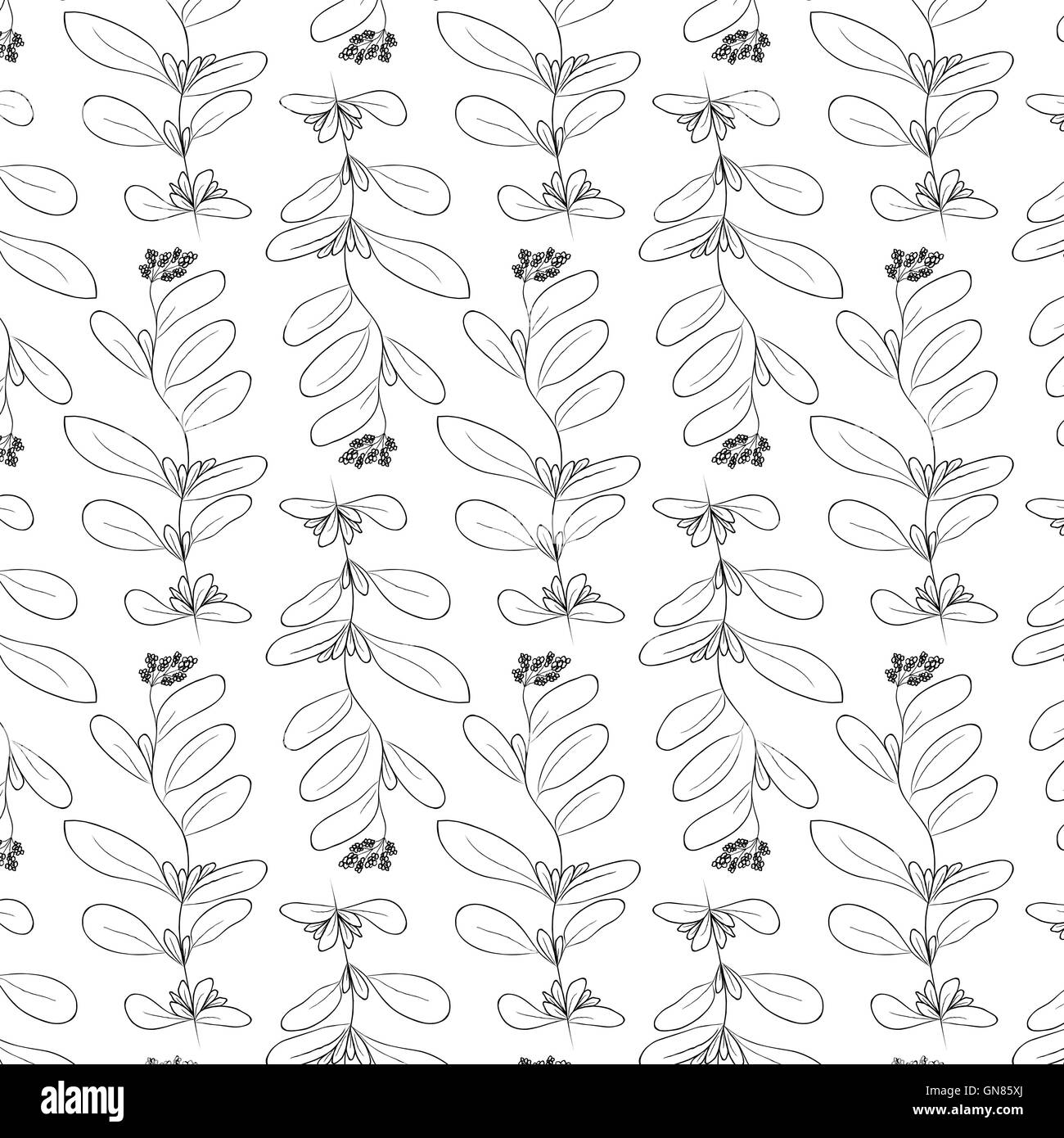 Delicate fern leaf Stock Vector Images - Alamy