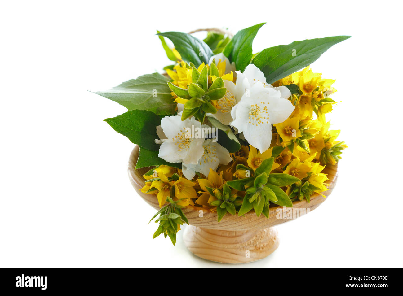 beautiful yellow summer flowers Stock Photo - Alamy