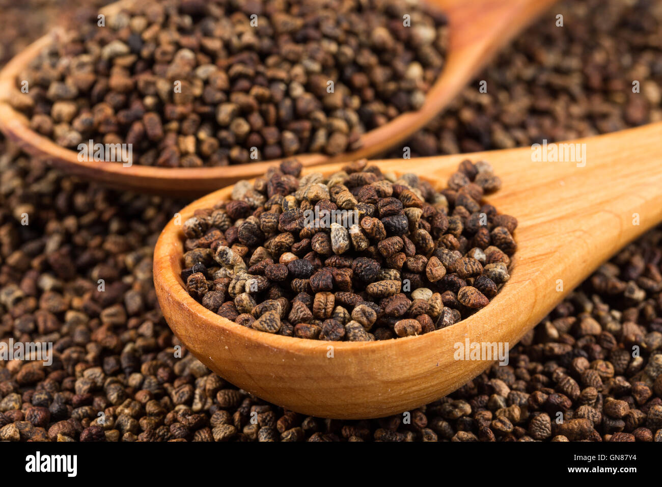 Decorticated hi-res stock photography and images - Alamy