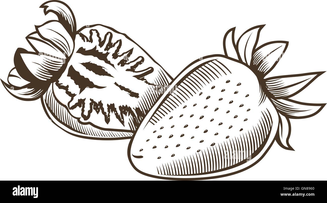 Strawberry Line Drawing