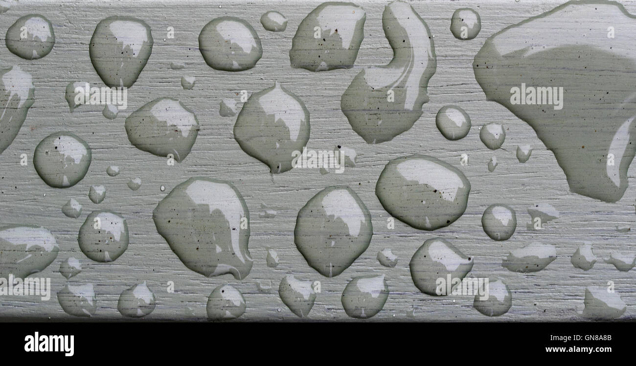 Surface tension in action Stock Photo - Alamy