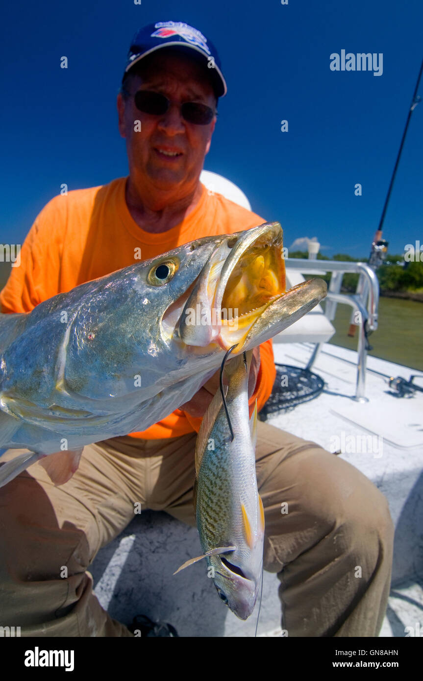 Big "Gator" trout are often caught in Florida's Mosquito Lagoon and ...