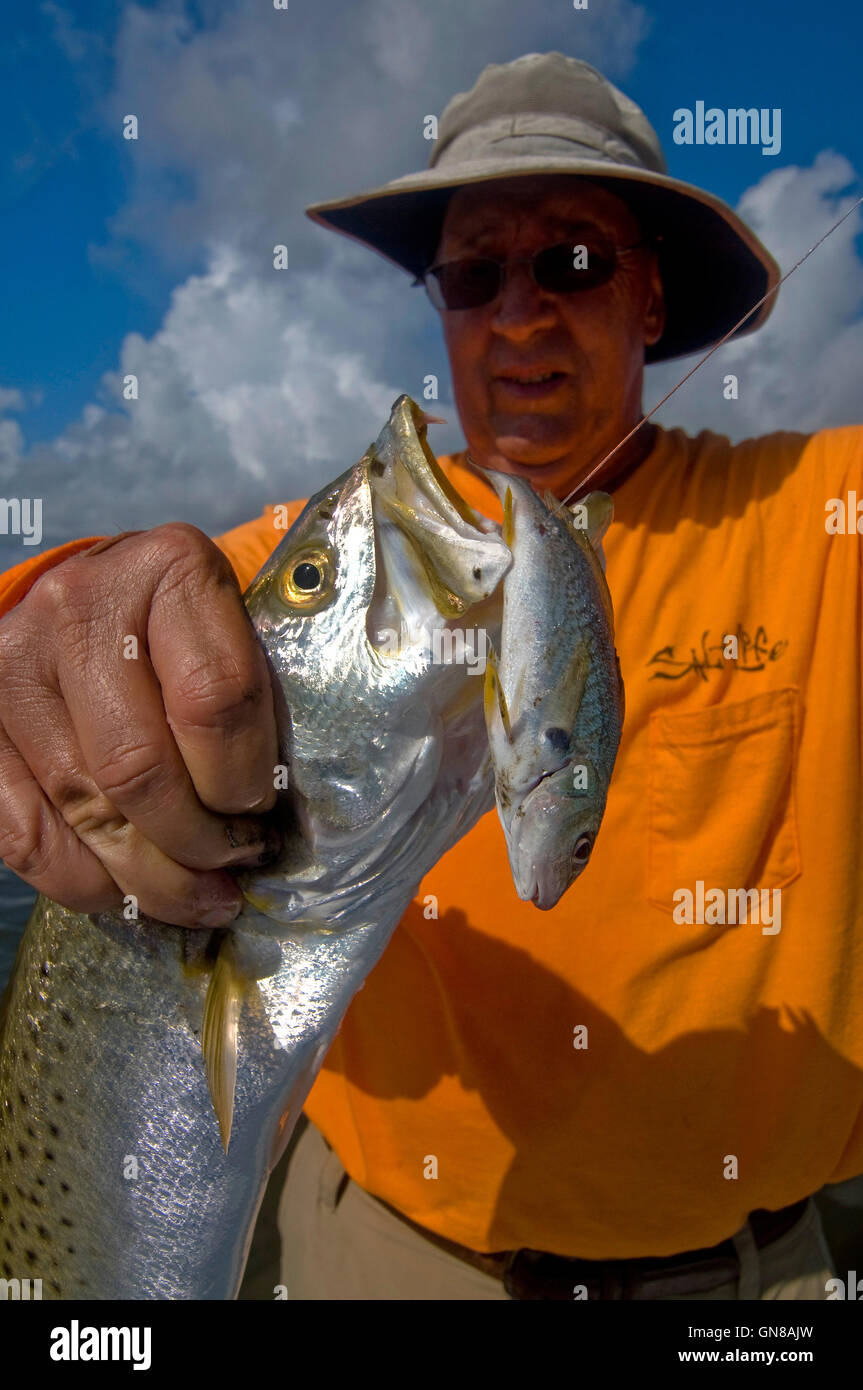 Big "Gator" trout are often caught in Florida's Mosquito Lagoon and ...