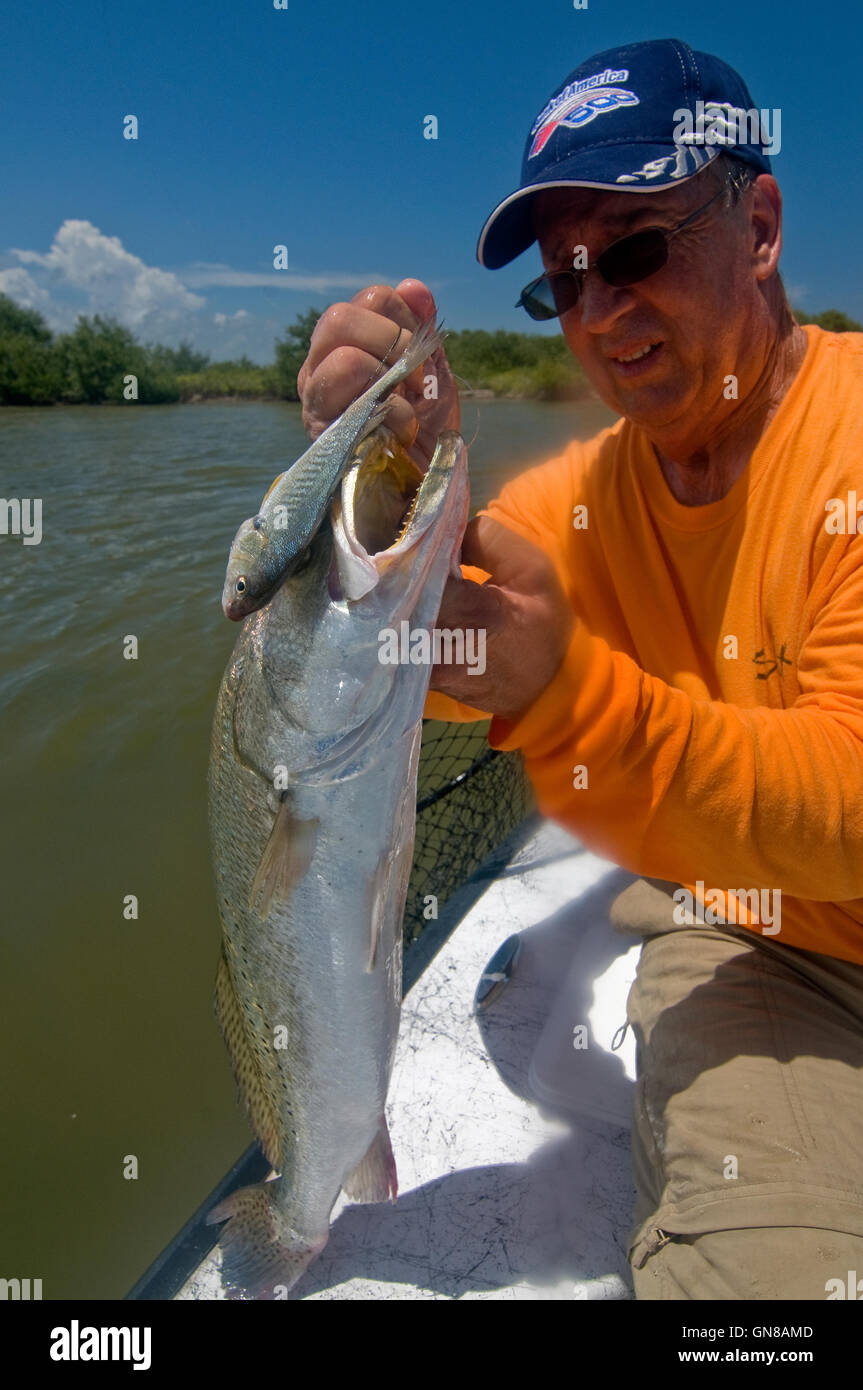 Big "Gator" trout are often caught in Florida's Mosquito Lagoon and ...