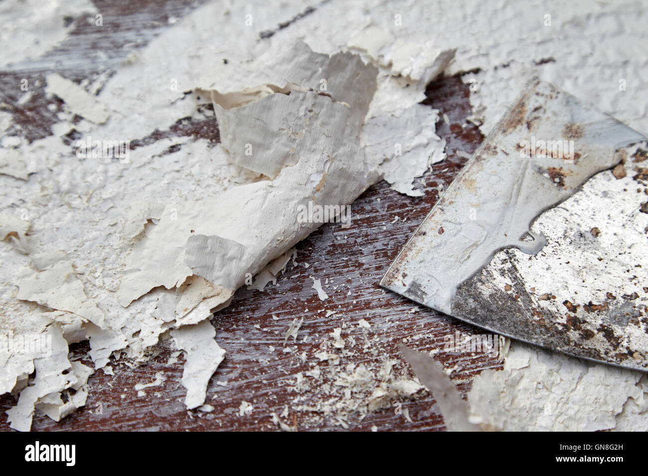 scraping off paint bubbling up due to application of paintstripper on a ...