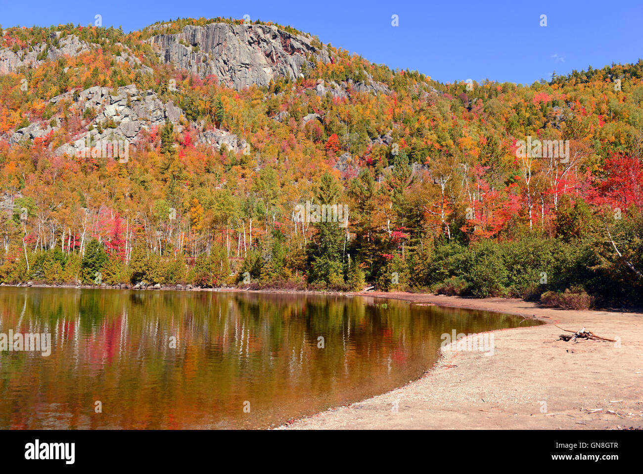 Autumn foliage with red, orange and yellow fall colors in the ...